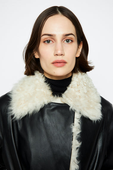 Collections - ONAR